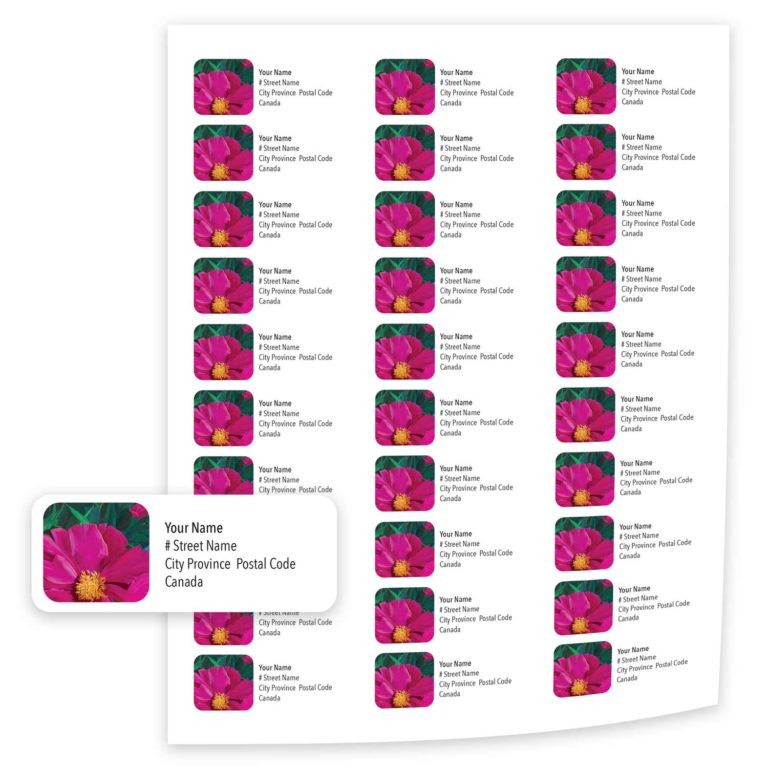 Mailing Labels Archives - Shop | Legion Magazine