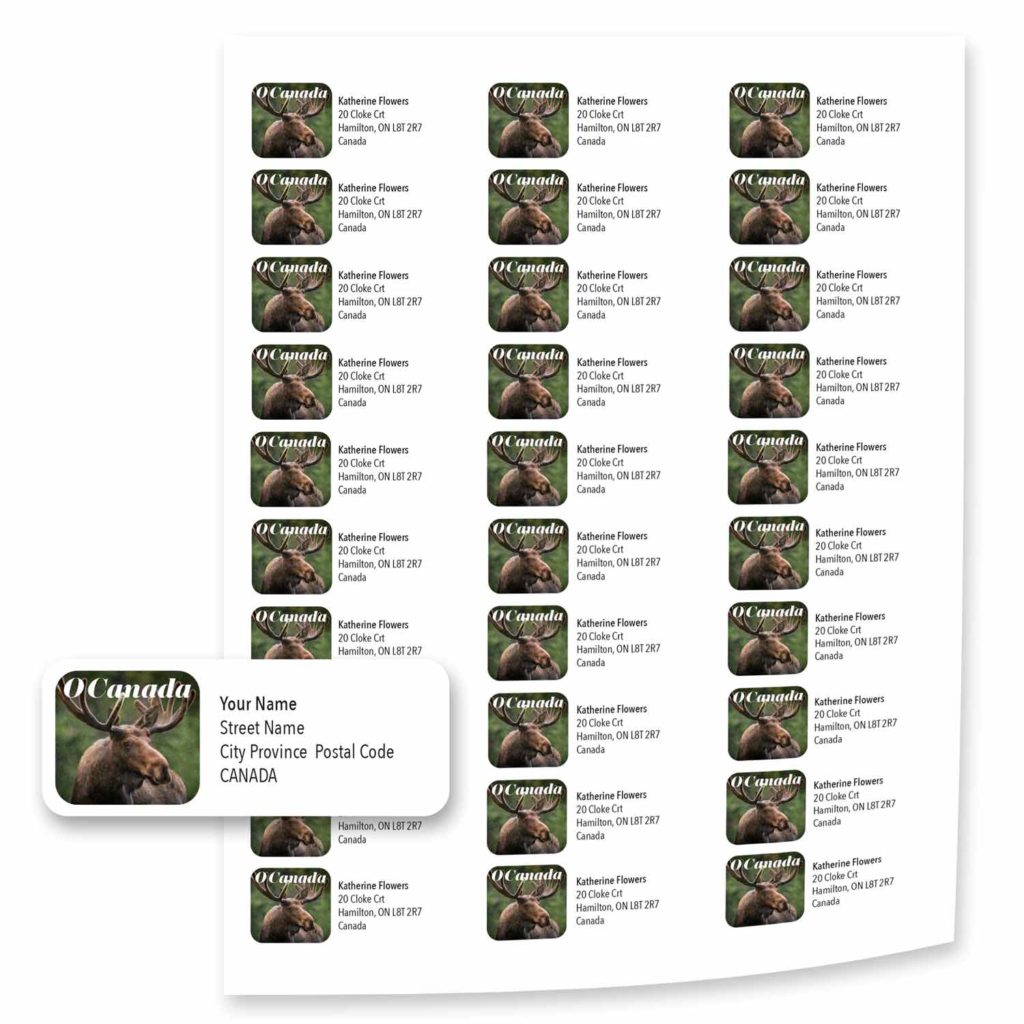 Canadian Wildlife Mailing Label – Moose - Shop | Legion Magazine